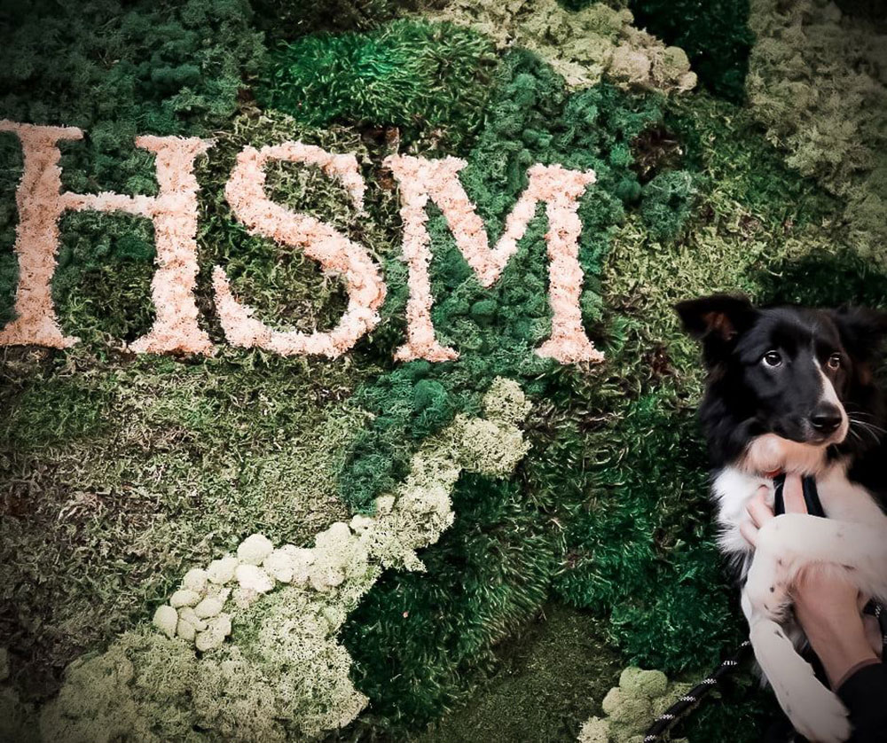 Photo Gallery | Savage Mill