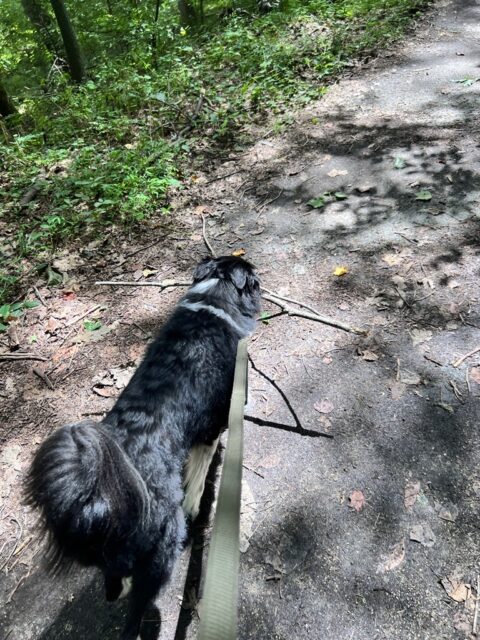 Hit the Trails! - Savage Mill