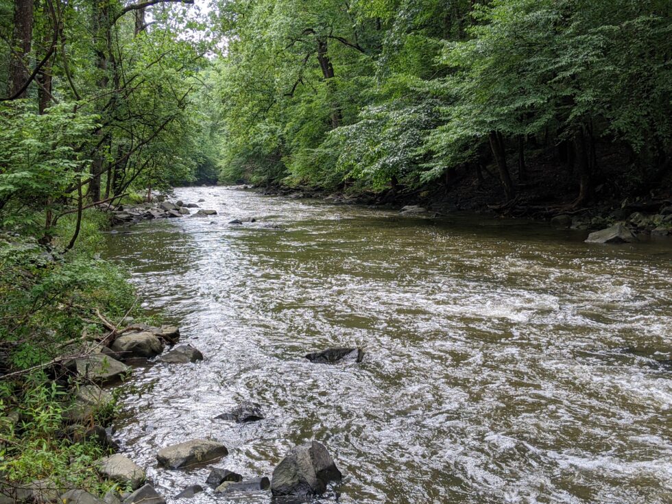 Hit the Trails! - Savage Mill