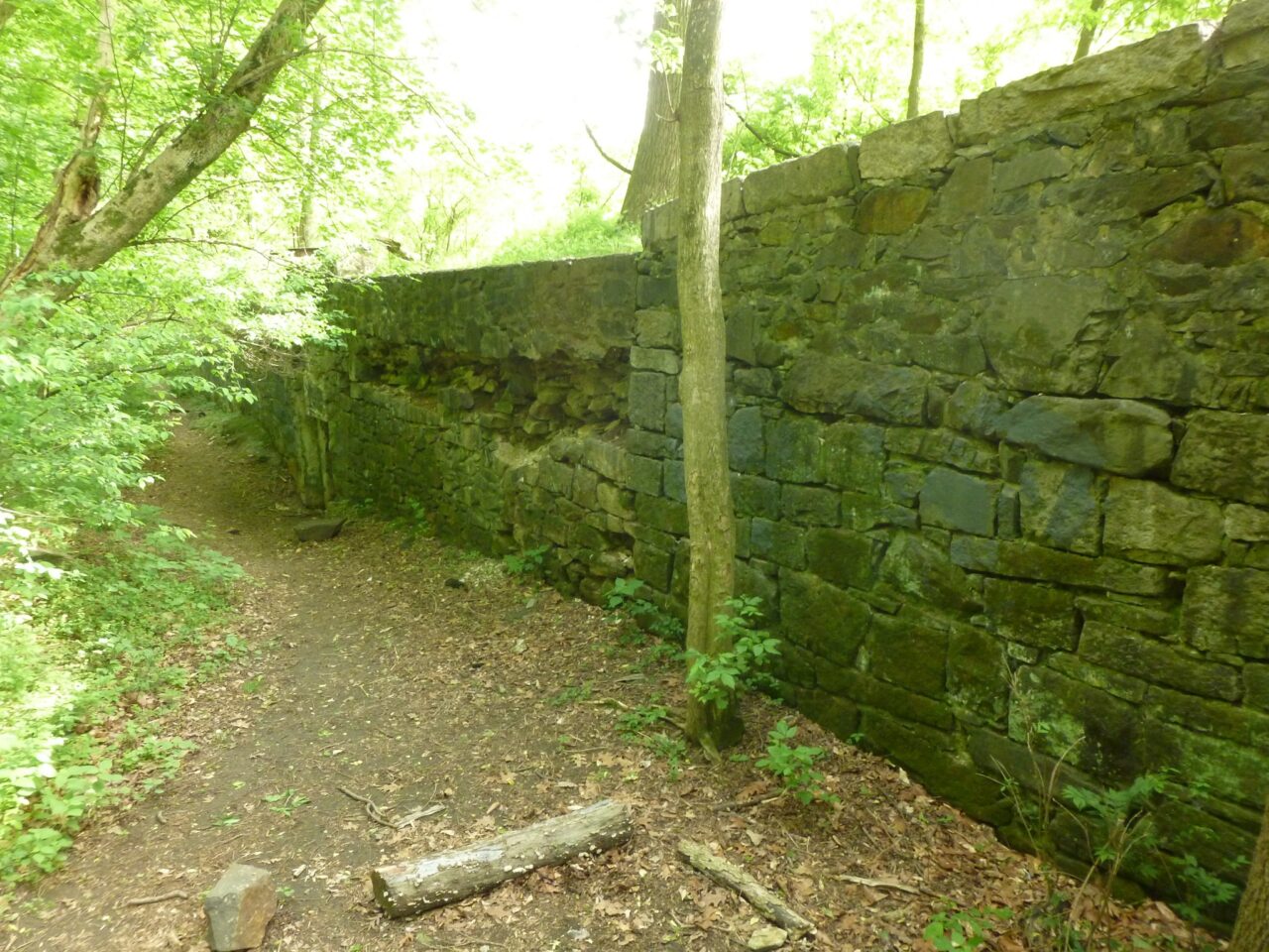 Hit the Trails! - Savage Mill